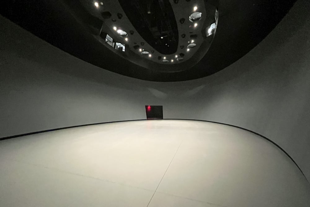 Winding 250 Foot Ribbon Prepares Visitors for 'Invisible Worlds' Immersive Experience